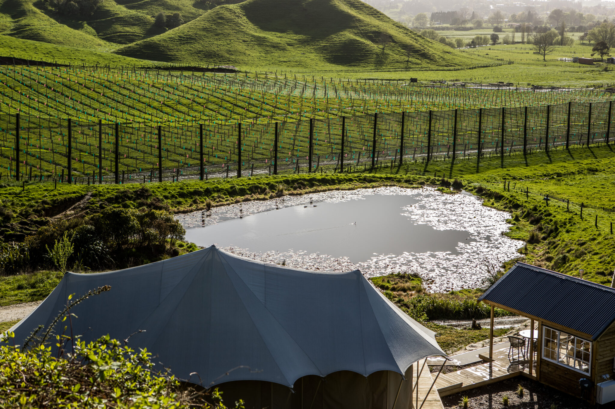 Orchard Valley - New Zealand - Exclusive Tents